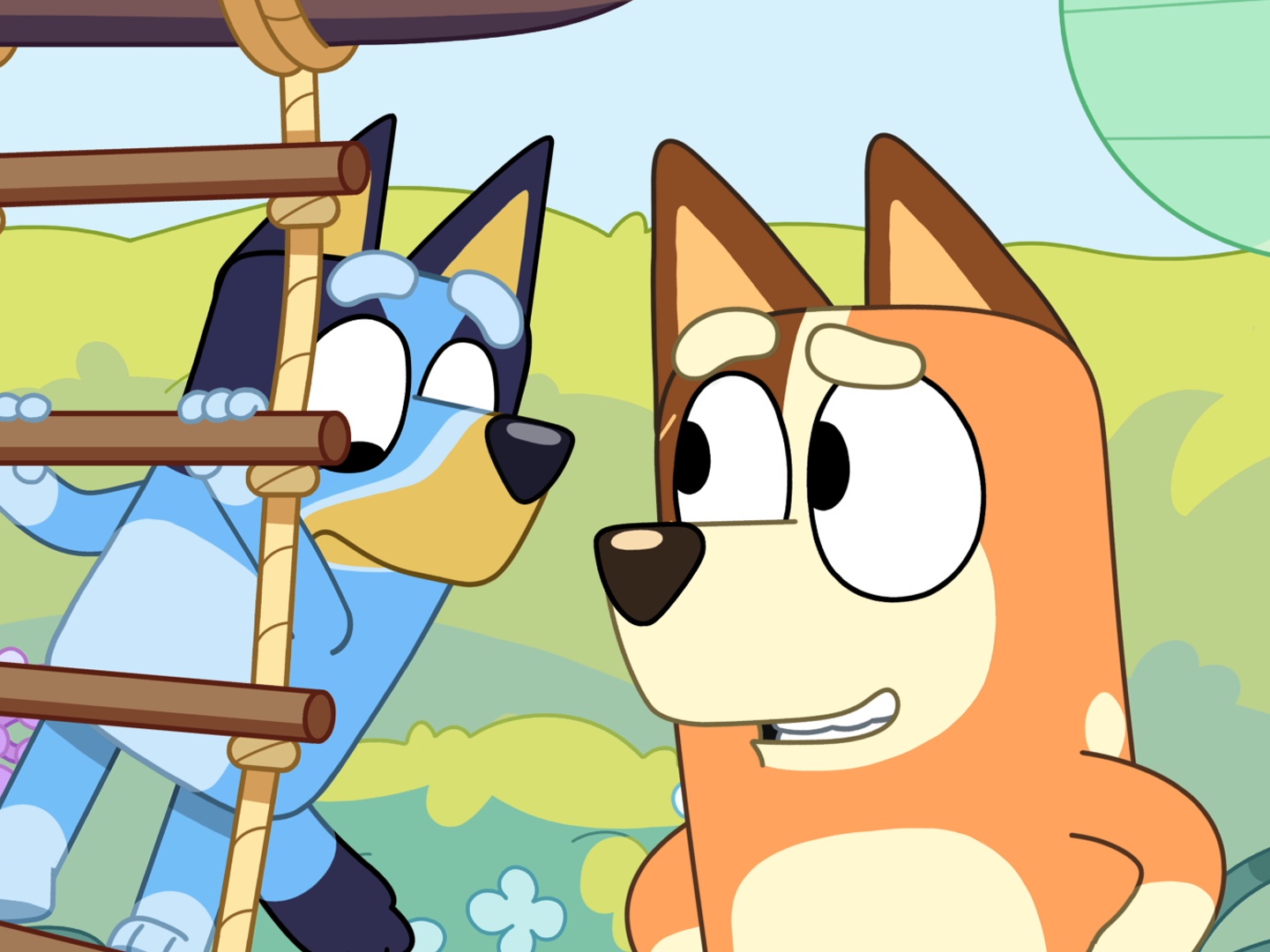 Bluey on TV | Series 3 Episode 3 | Channels and schedules | TV24.co.uk