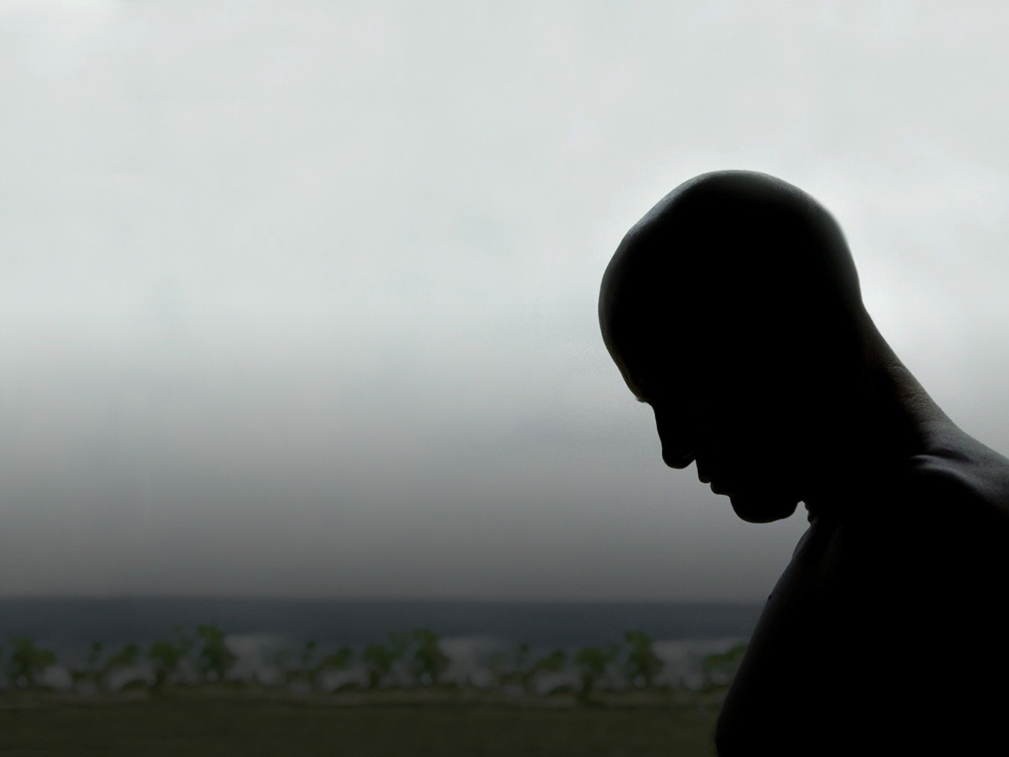 Kelly Slater: The Lost Tapes on TV | Channels and schedules | tvgenius.com