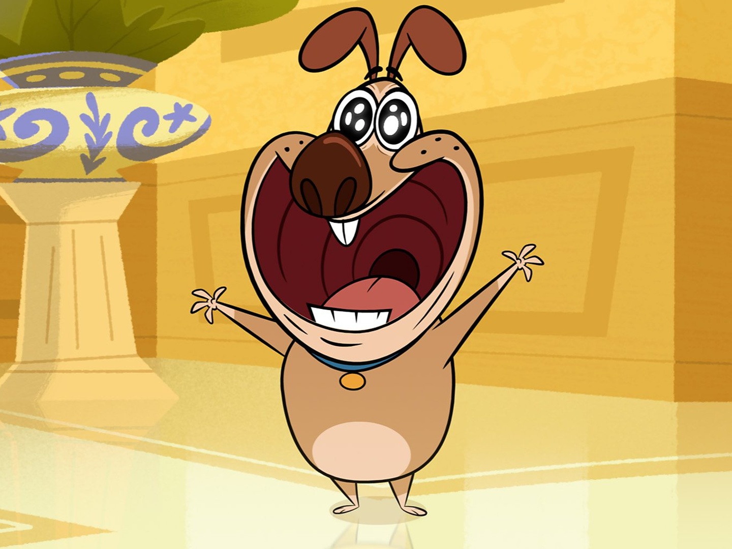 Taffy on TV | Series 2 Episode 39 | Channels and schedules | TV24.co.uk