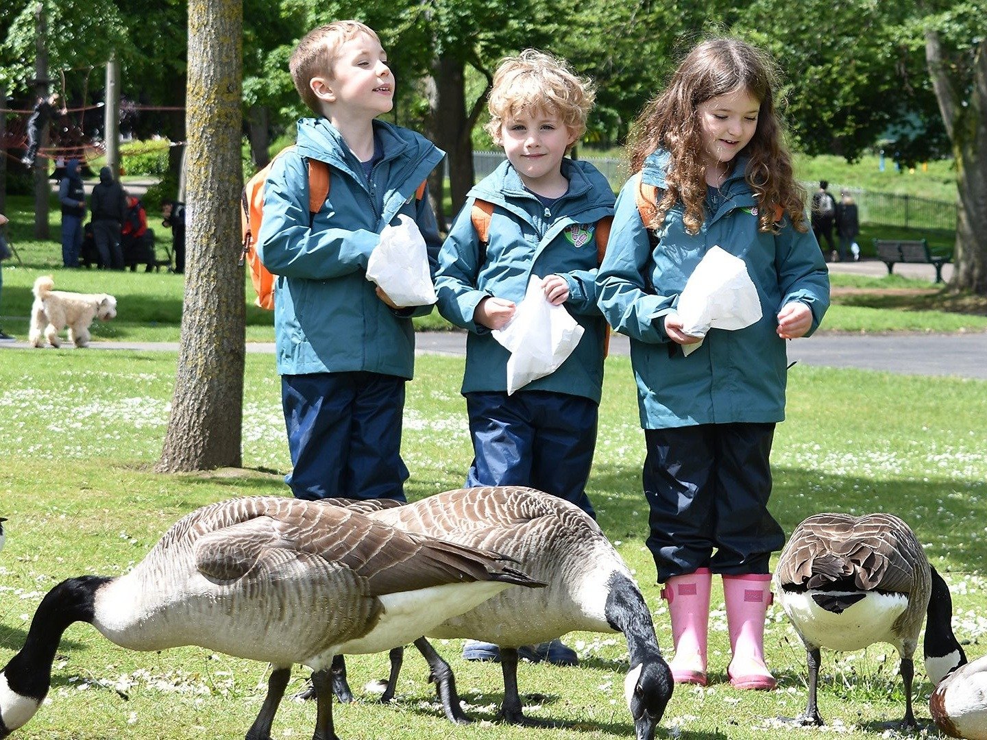 Ranger Hamza's Eco Quest on TV | Series 1 Episode 19 | Channels and ...