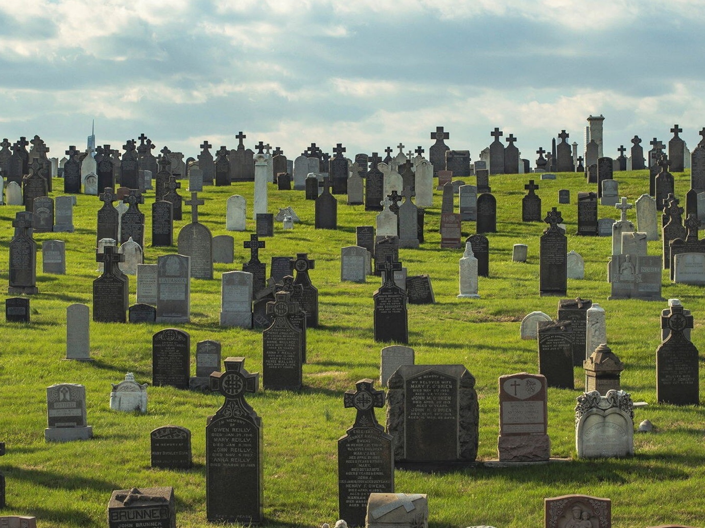 Bloodline Detectives on TV | Series 3 Episode 8 | Channels and ...