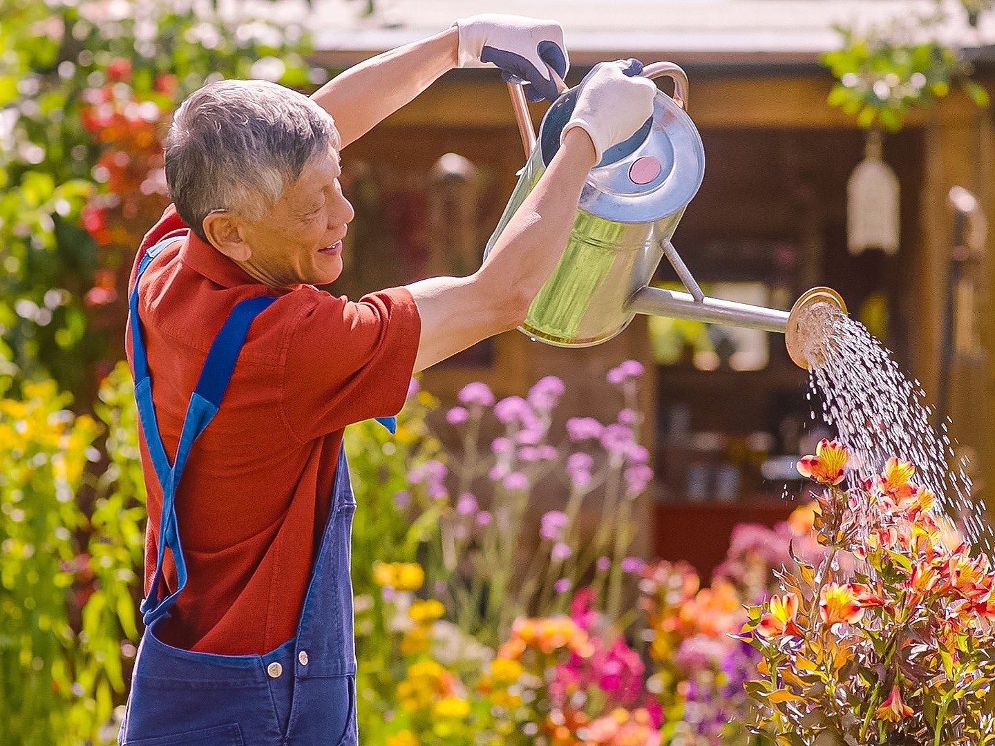 Biff and Chip on TV | Series 2 Episode 13 | Channels and schedules ...