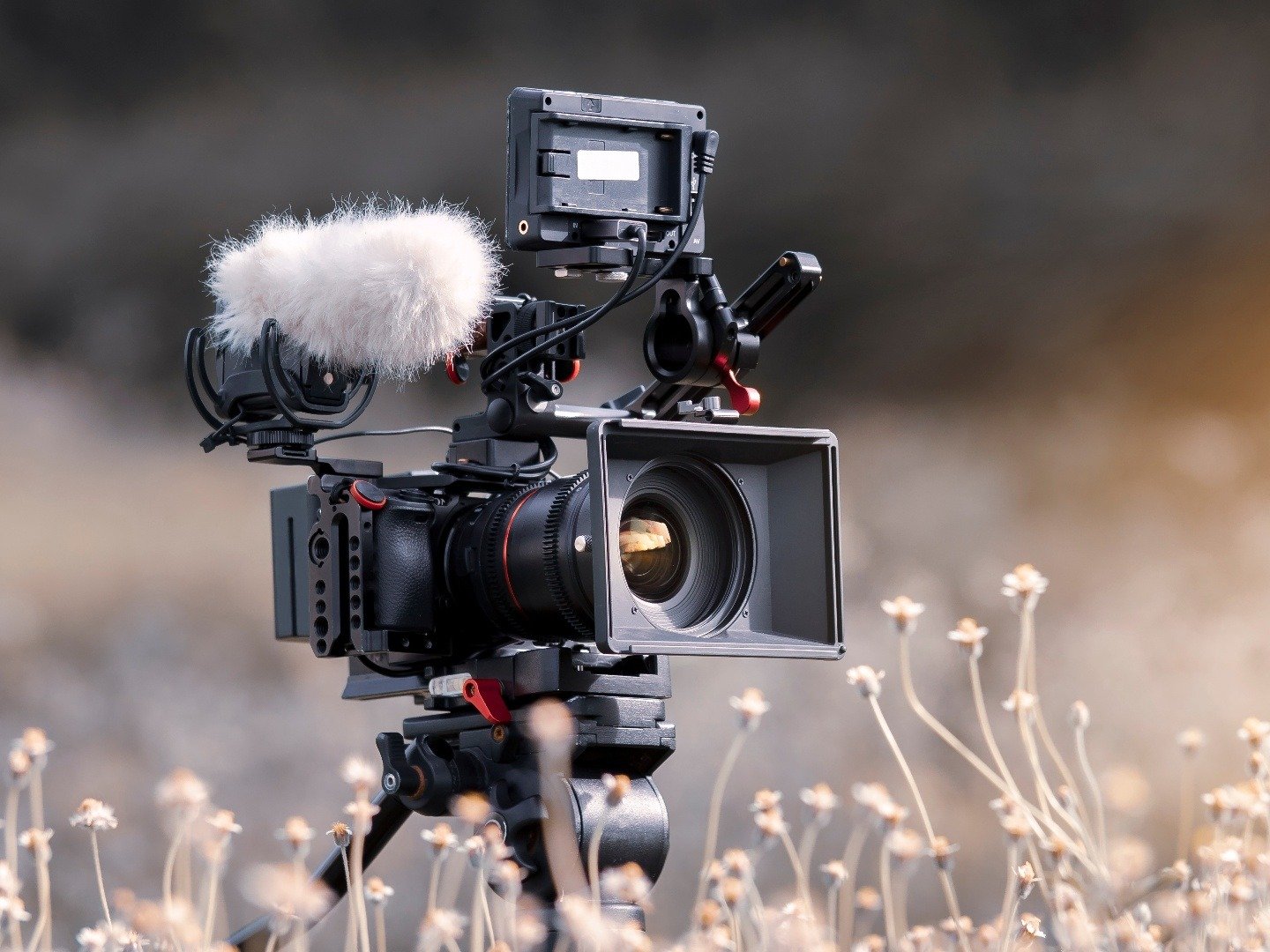 African American Short Films on TV | Channels and schedules | tvgenius.com