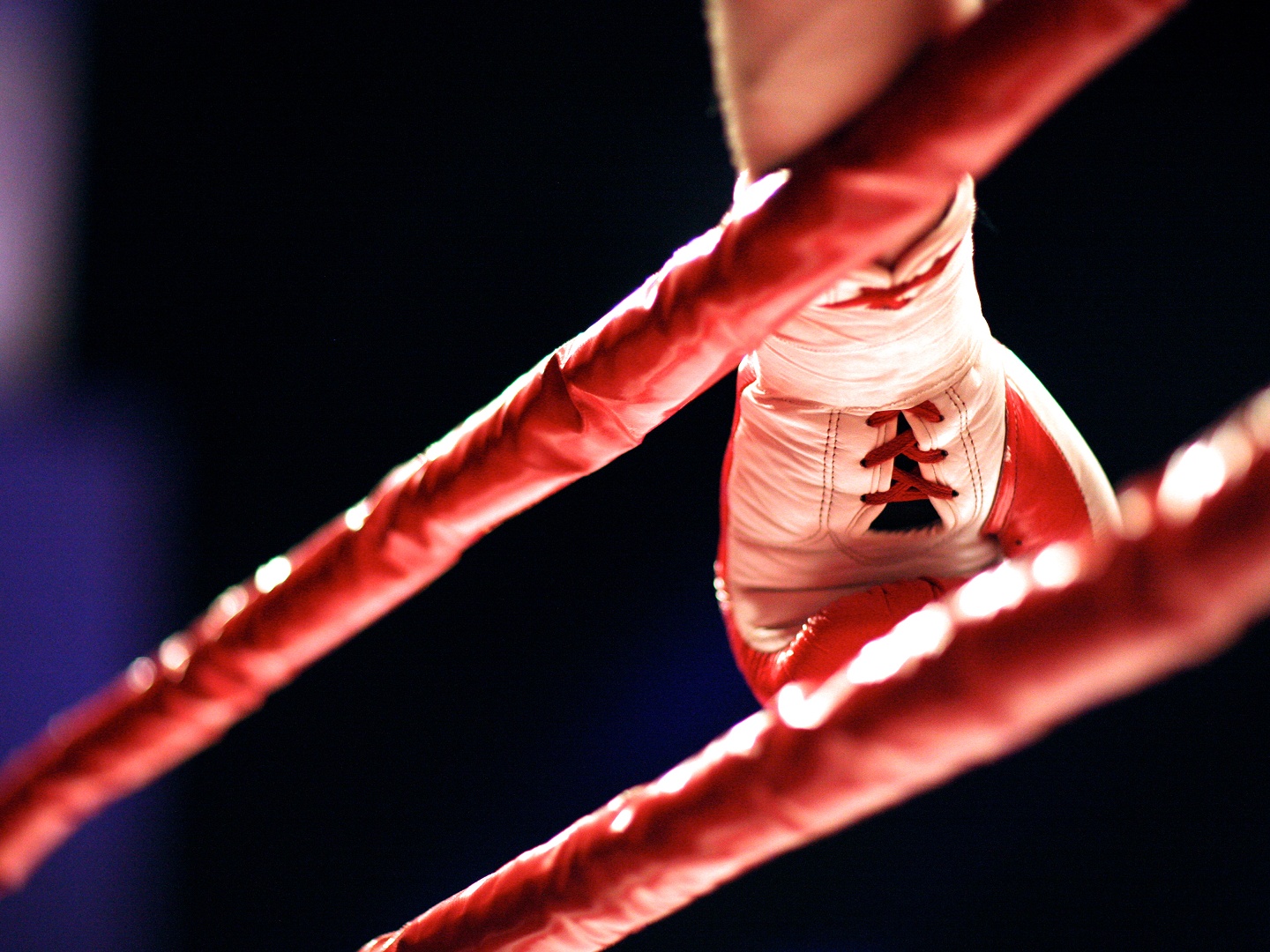 Commonwealth and British Super Welterweight Title: Sam Gilley v Louis ...