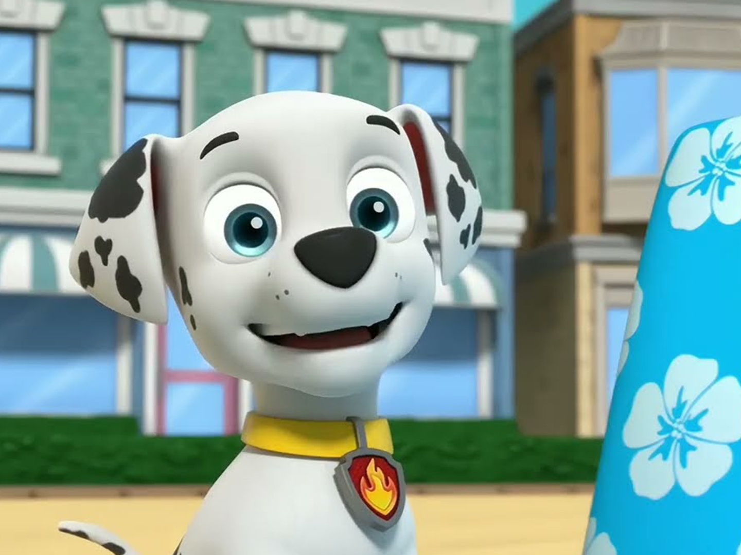 PAW Patrol on TV | Series 10 Episode 4 | Channels and schedules | tv24 ...