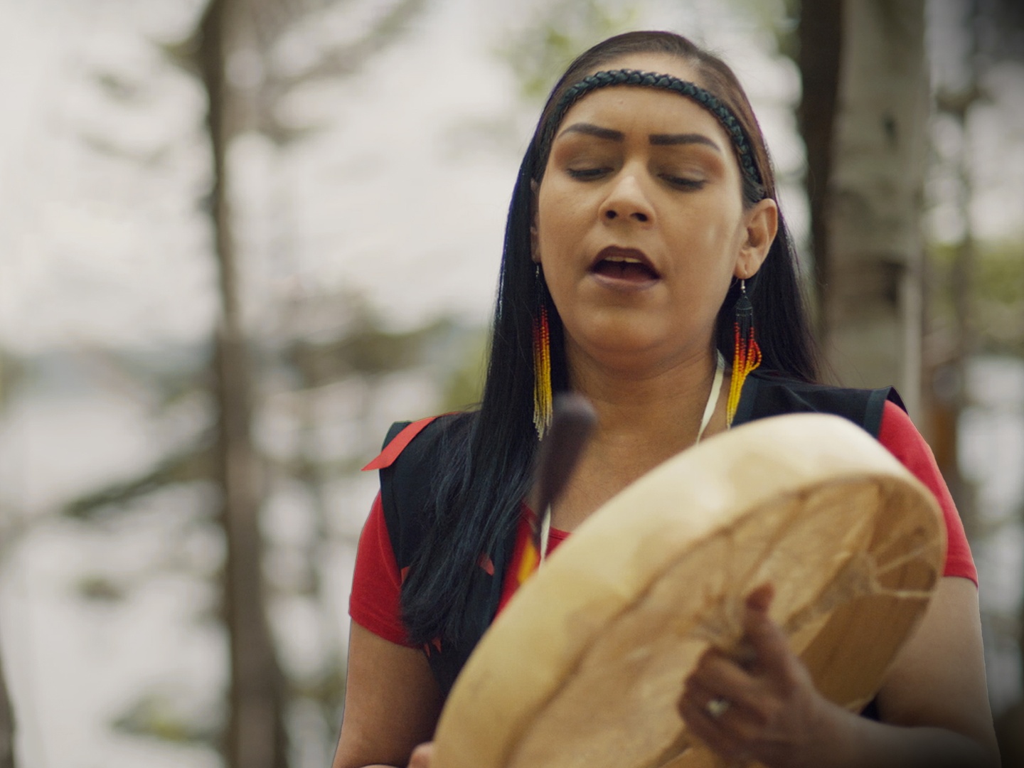 Rooted: Songs of Unama'ki on TV | Channels and schedules | tvgenius.com