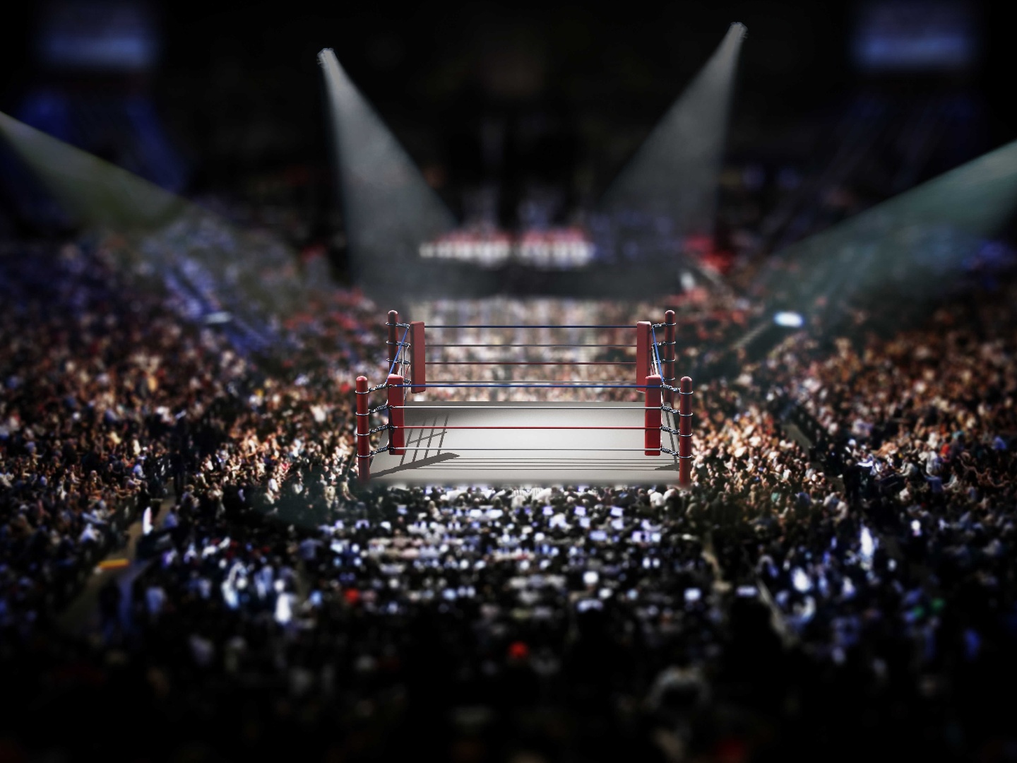 ProBox TV: Fight Night on TV | Channels and schedules | tvgenius.com