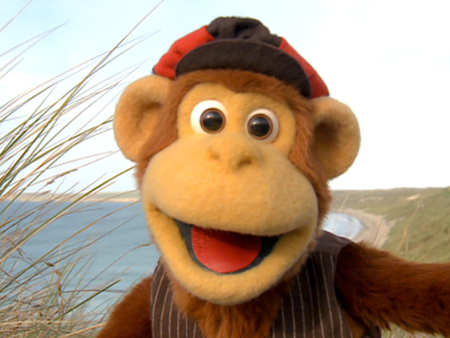 Milkshake! Monkey Rhymes on TV | Series 1 Episode 1 | Channels and ...