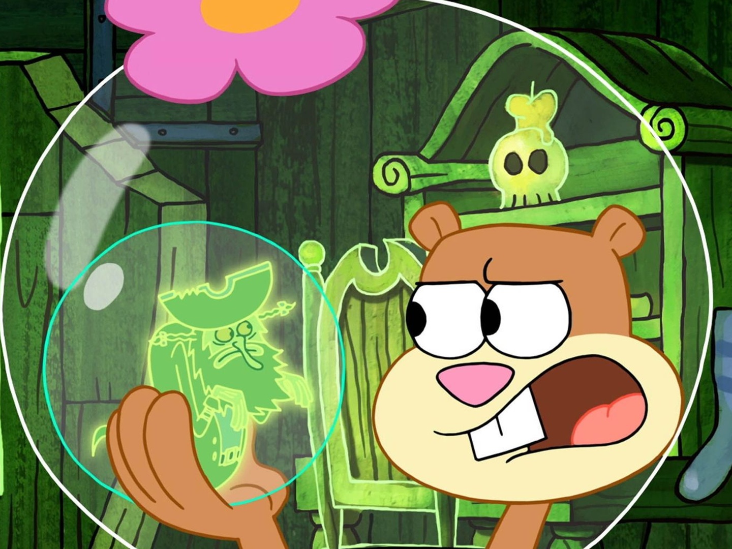 SpongeBob SquarePants on TV | Season 13 | Channels and schedules ...