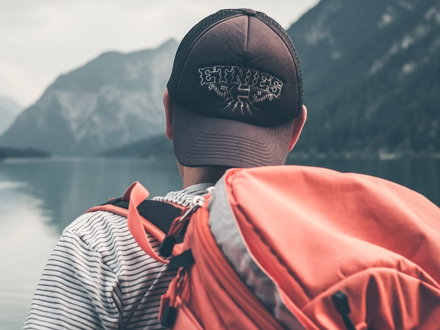 Milkshake! News on TV | Series 1 Episode 22 | Channels and schedules ...