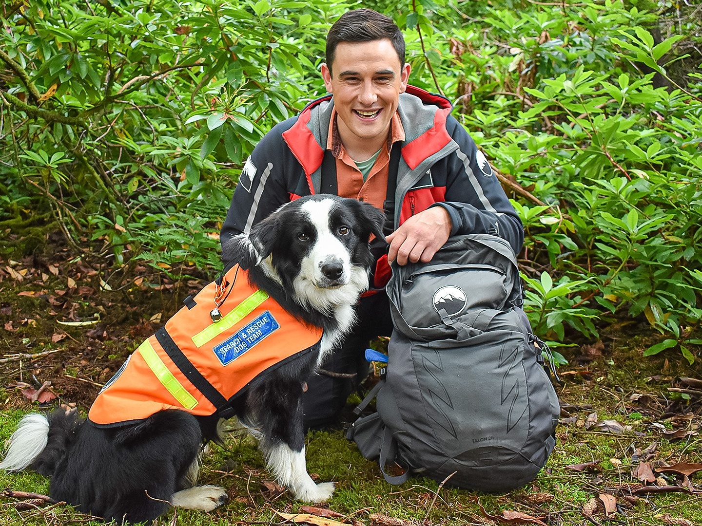 Dog Squad on TV | Series 2 Episode 13 | Channels and schedules | TV24.co.uk