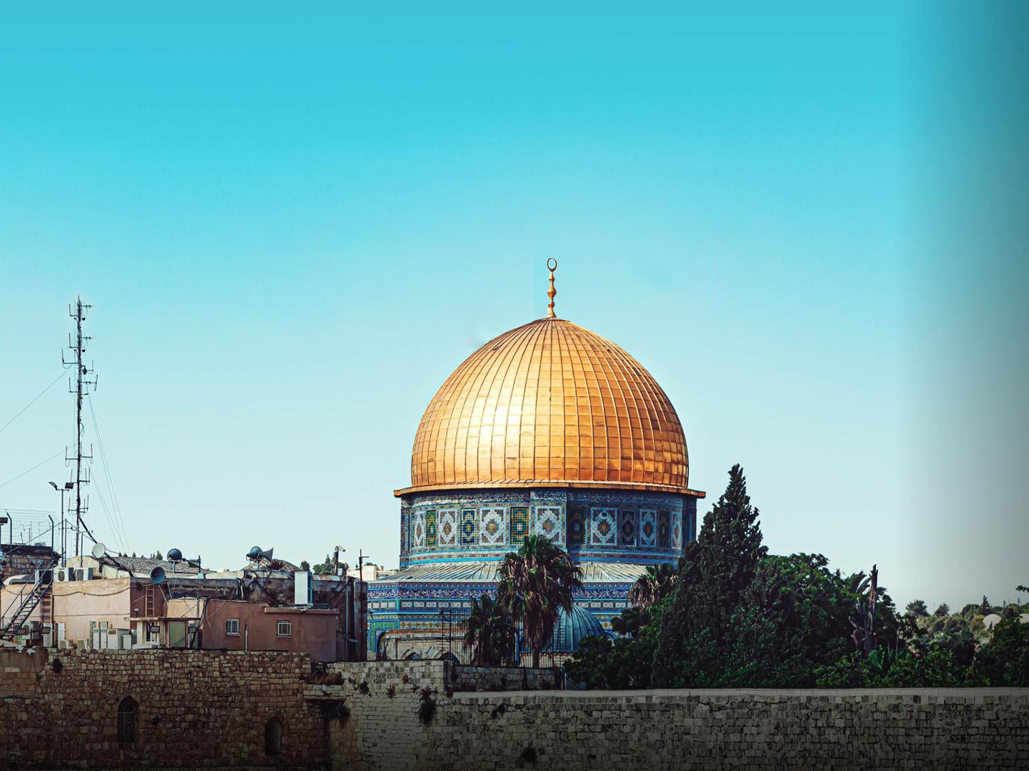 From Palestine on TV | Channels and schedules | tv24.co.uk