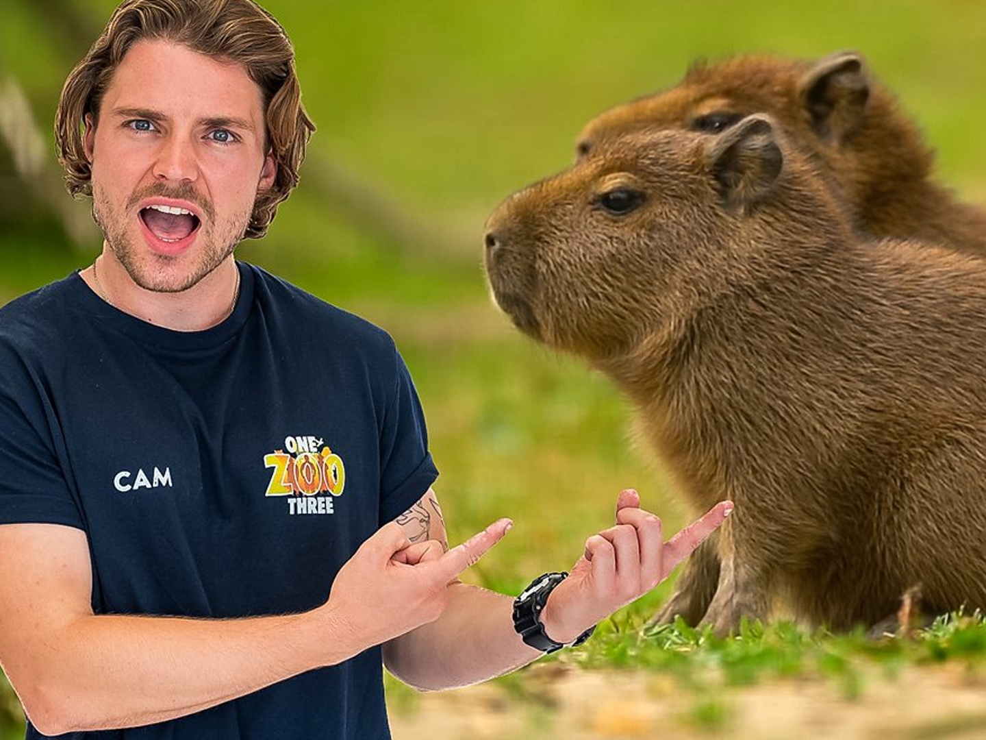 One Zoo Three on TV | Series 4 Episode 5 | Channels and schedules ...