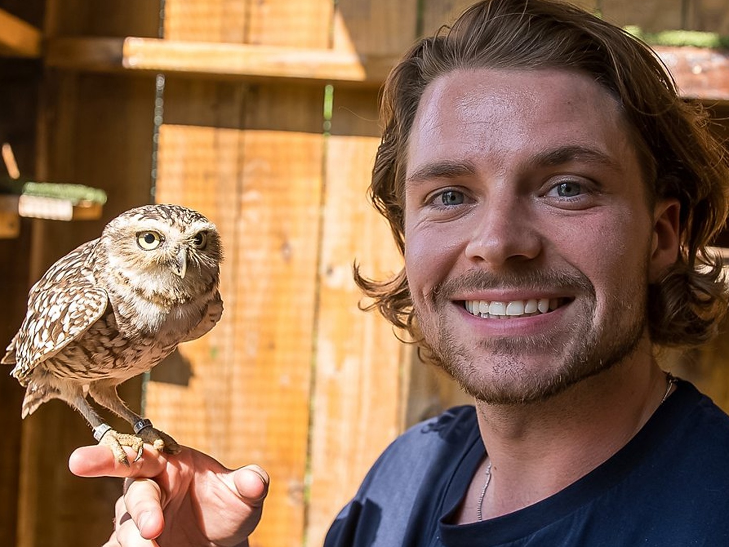 One Zoo Three on TV | Series 4 Episode 8 | Channels and schedules ...