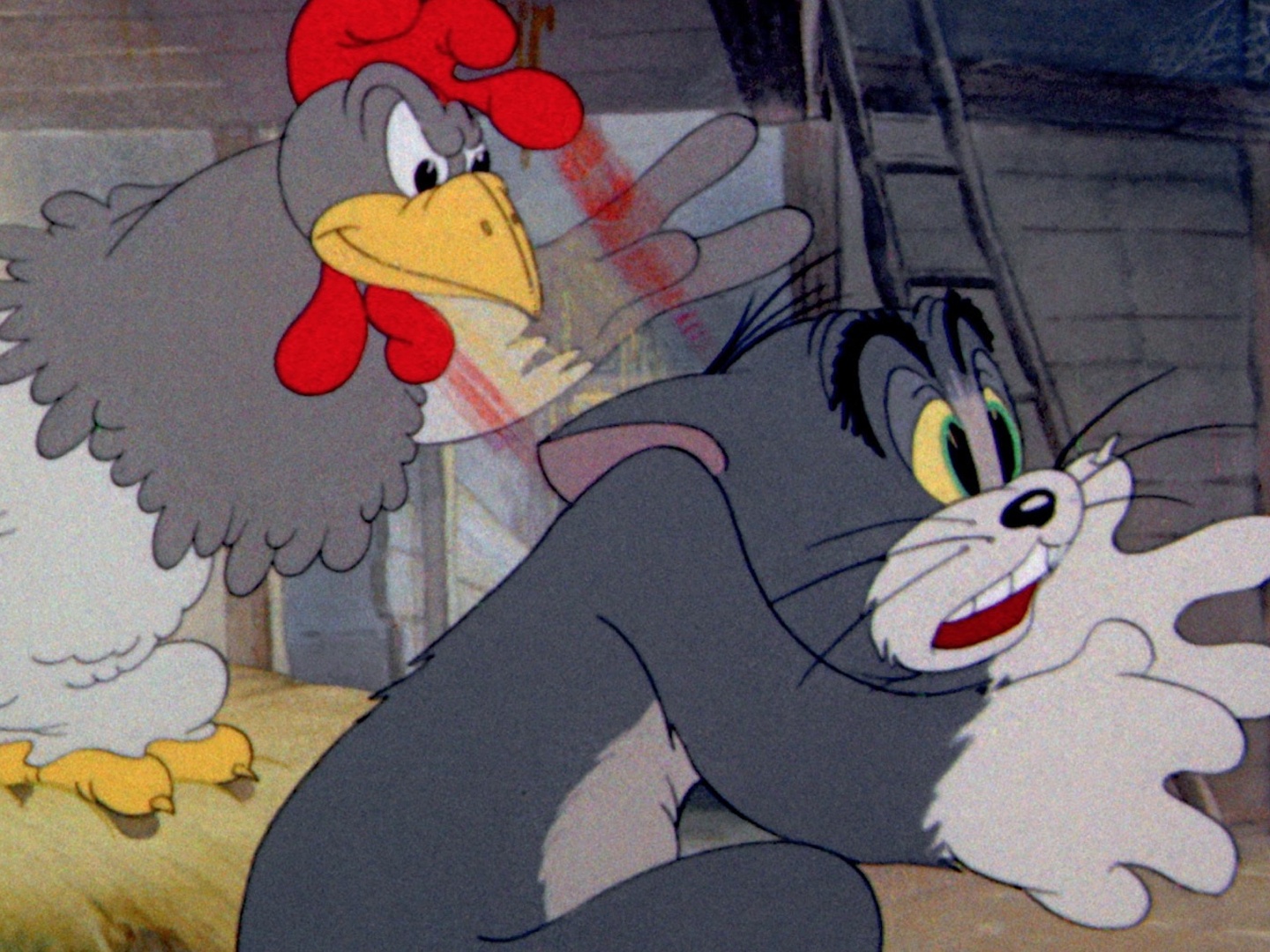 Tom & Jerry on TV | Channels and schedules | TV24.co.uk