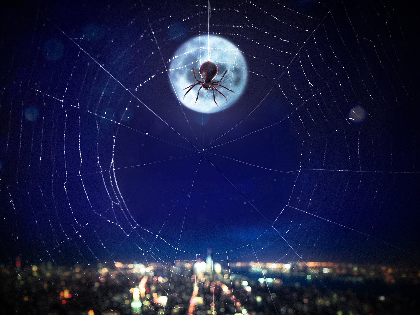 Icons Unearthed: Spider-Man on TV | Channels and schedules | tvgenius.com