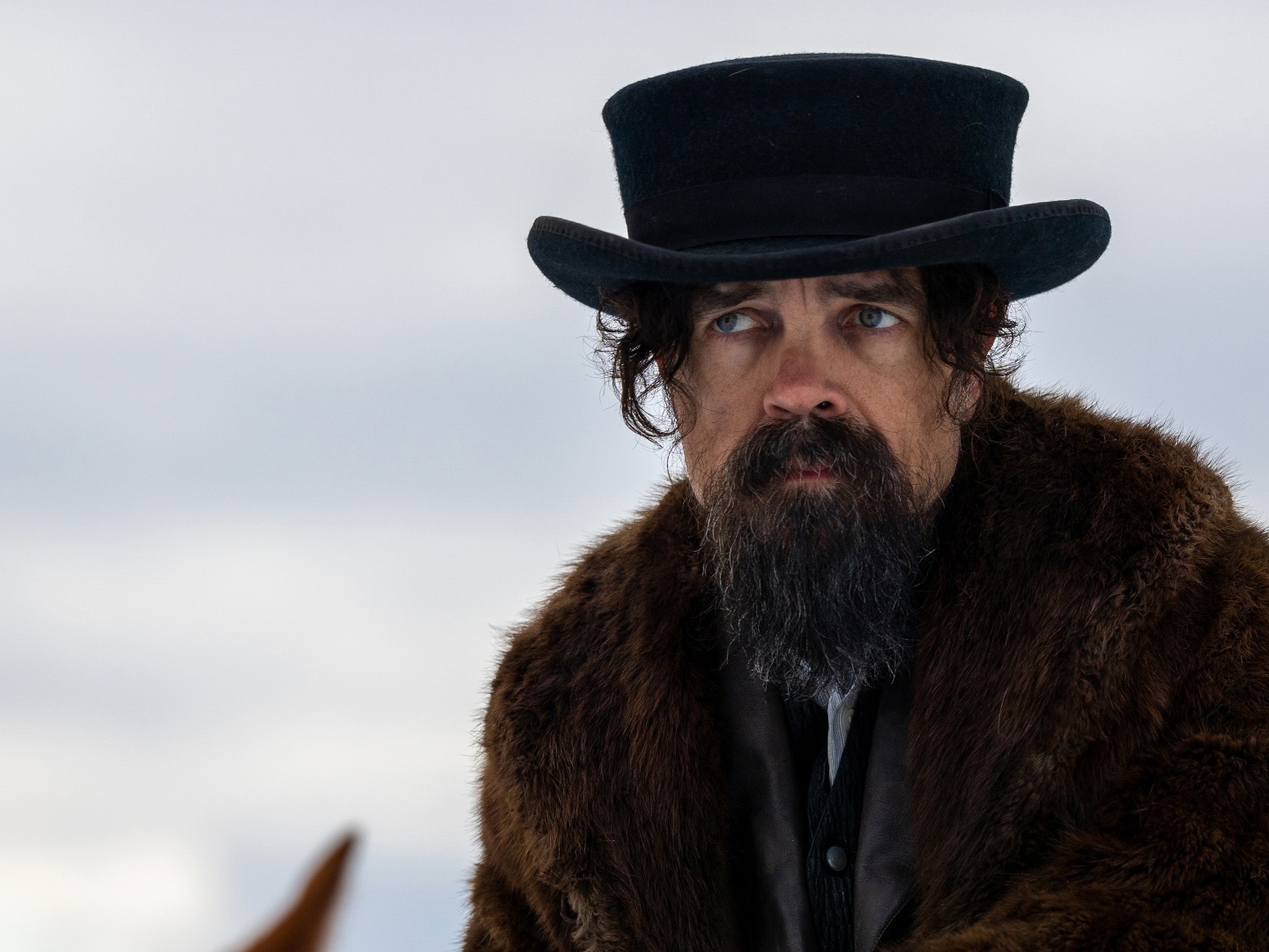 The Thicket (2024) on TV | Channels and schedules | tv24.co.uk