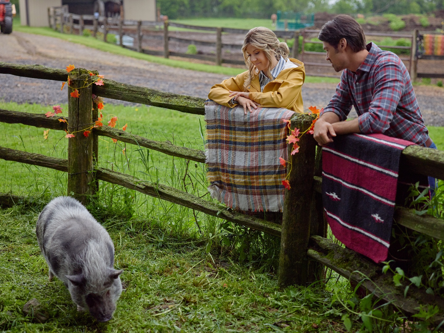 The Heiress and the Handyman on TV | Channels and schedules | tvgenius.com