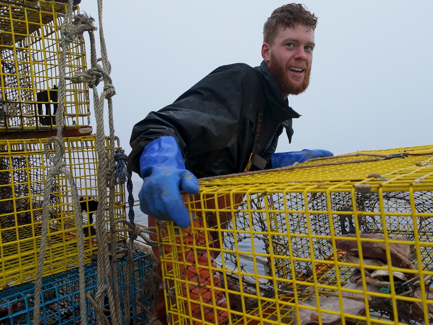 Claw Hunters on TV | Series 1 Episode 6 | Channels and schedules | tv24 ...