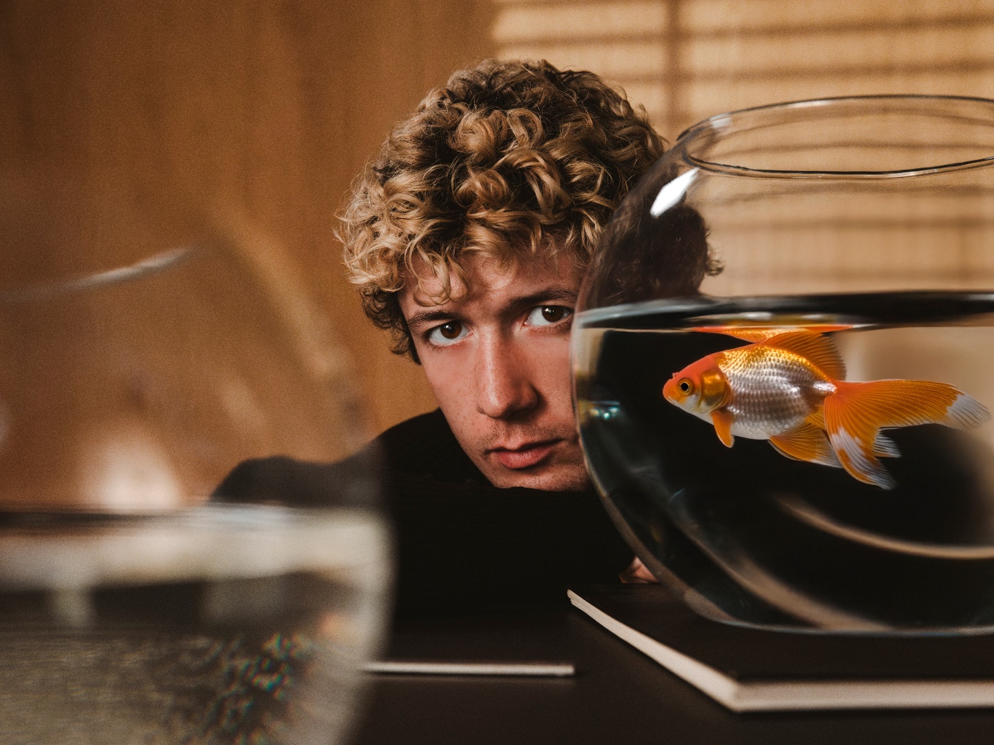 WTF is Jule?! on TV | Channels and schedules | tv24.co.uk