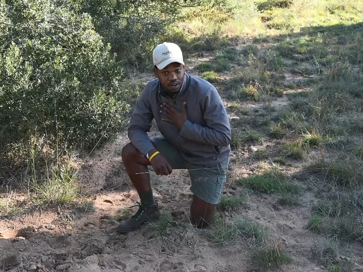 Safari Spotlight on TV | Series 1 Episode 10 | Channels and schedules ...