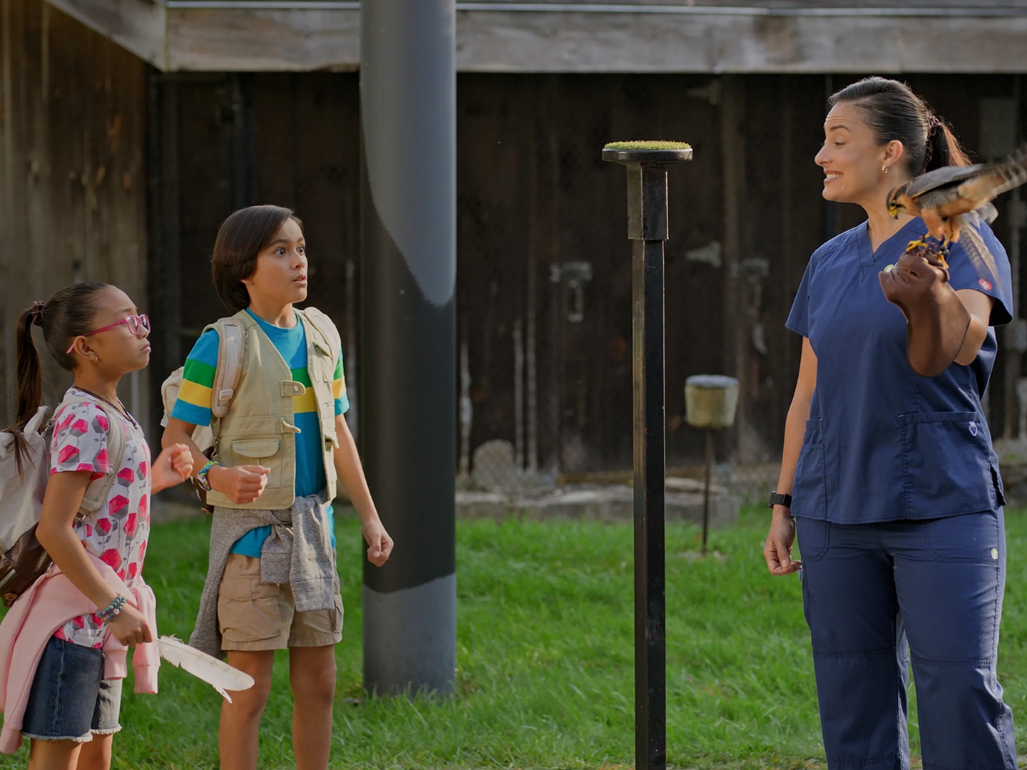 Dino Dexter on TV | Channels and schedules | tvgenius.com