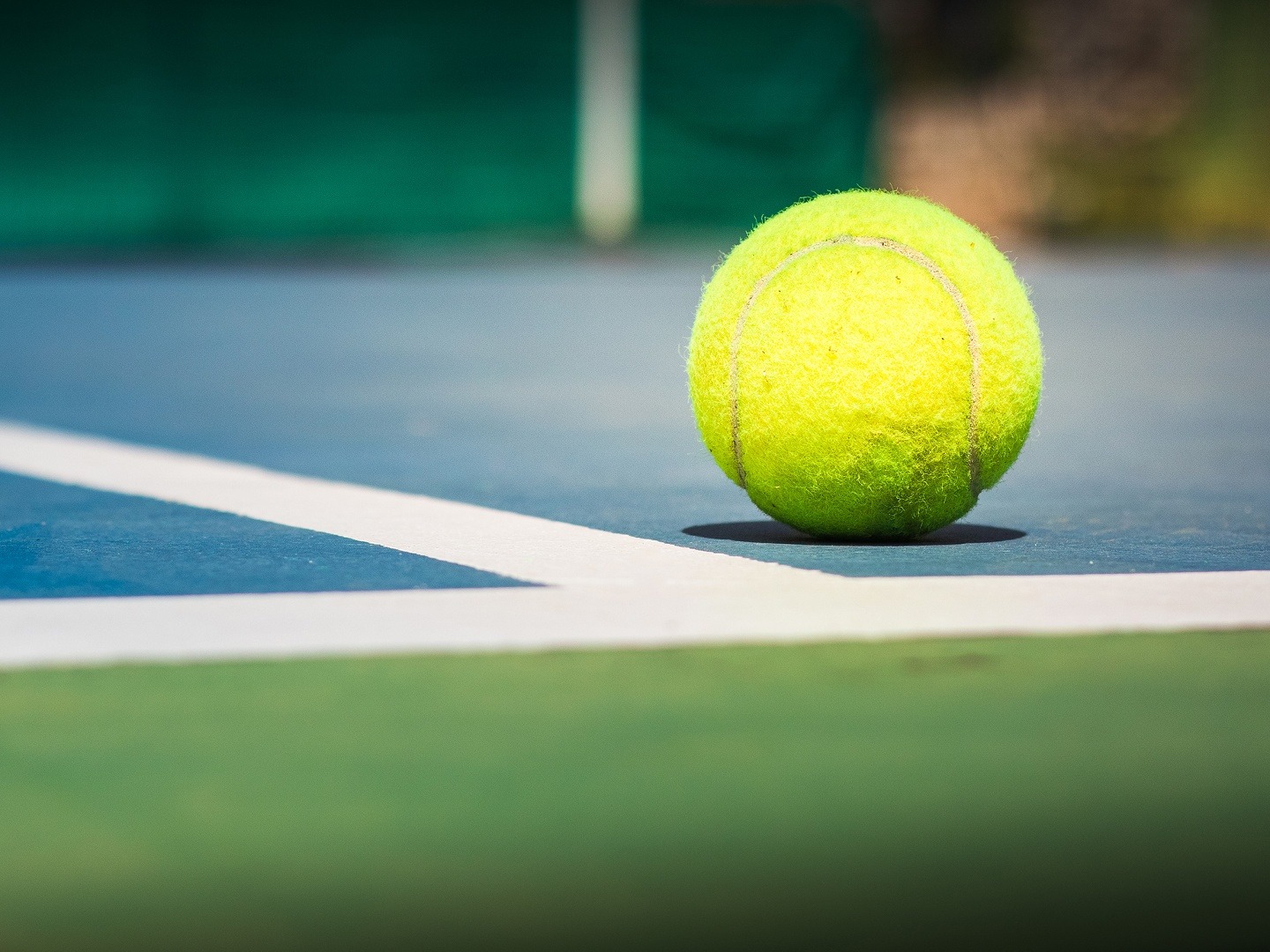 Final (Live Tennis: ATP Dallas Open 2025) on TV | Channels and schedules | tv24.co.uk