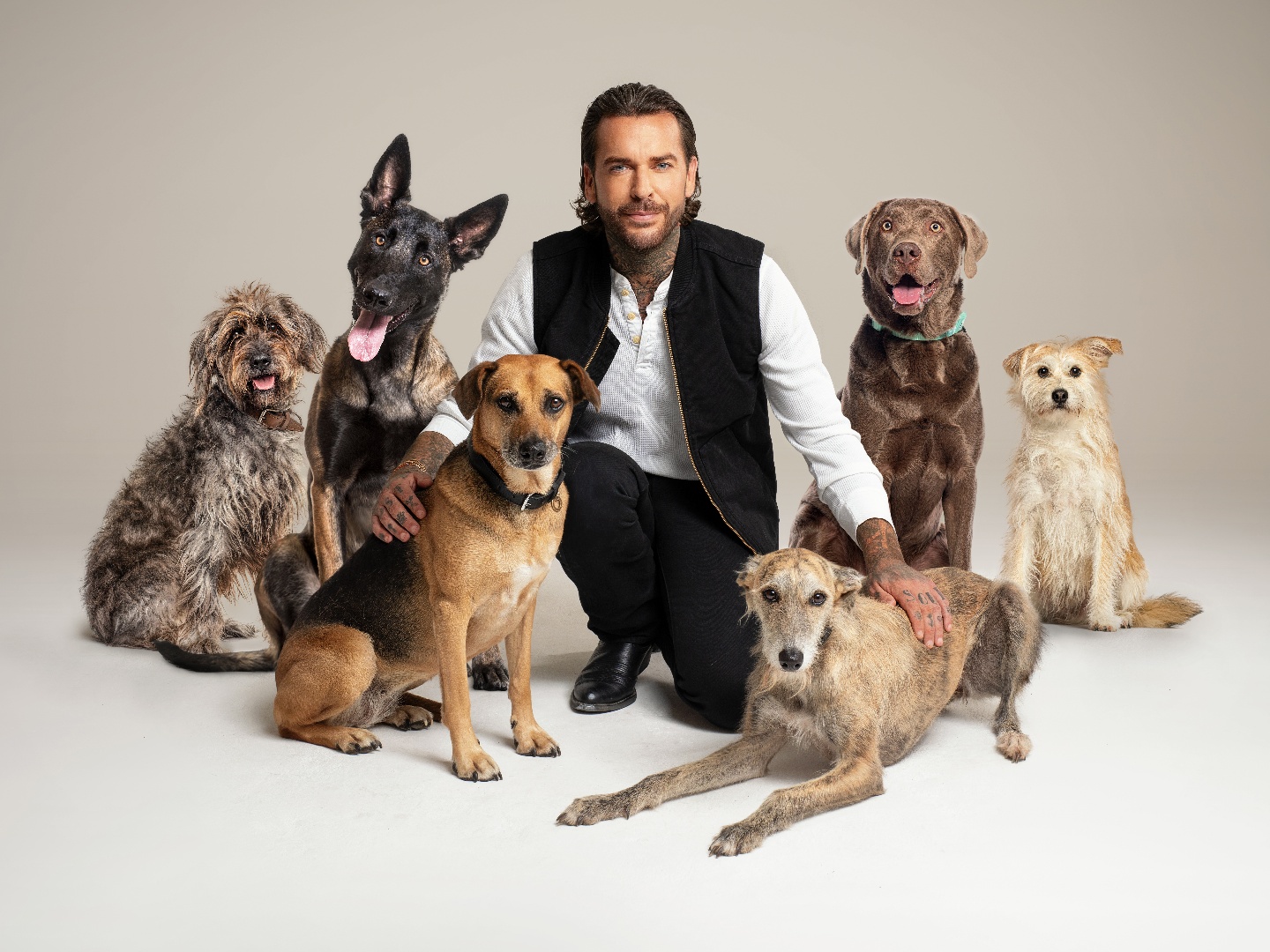 Pete Wicks: For Dogs' Sake on TV | Series 1 Episode 3 | Channels and ...