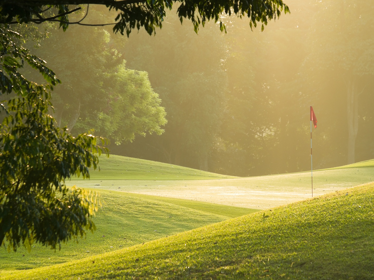 Day 3 (The Genesis Invitational, PGA Tour Golf) on TV | Channels and ...