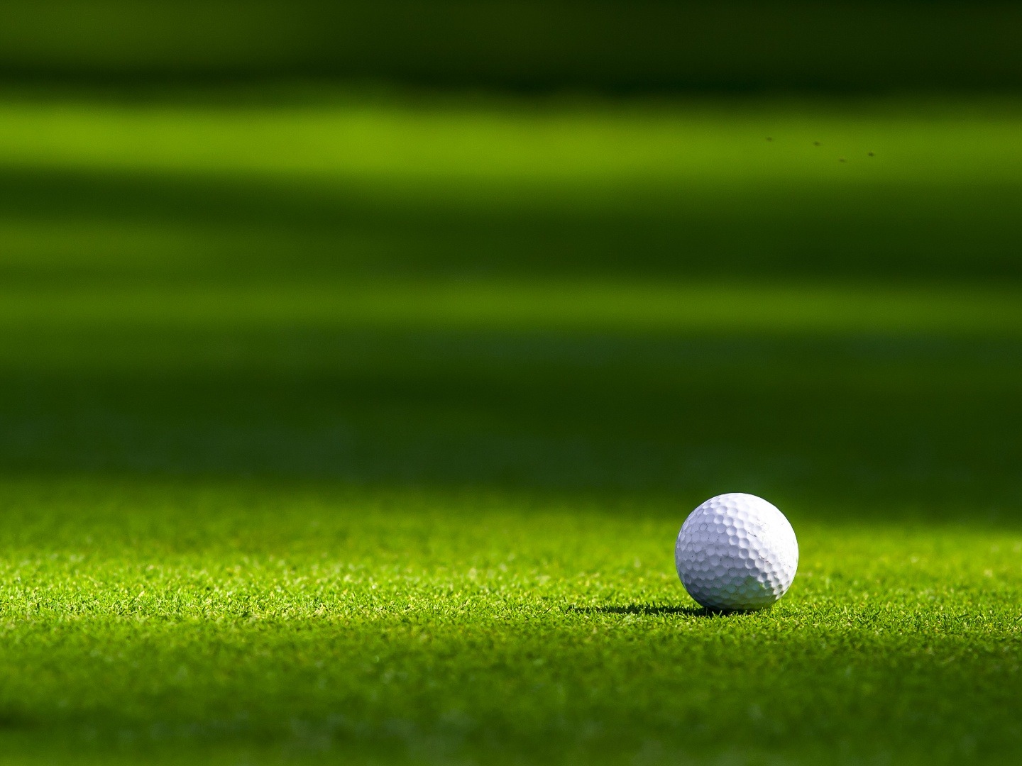 Discovery Golf on TV | Series 25 Episode 12 | Channels and schedules ...