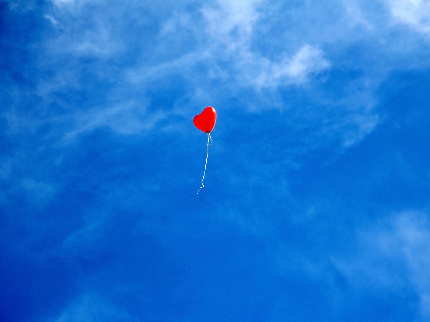 The Stamp of Love on TV | Channels and schedules | tvgenius.com