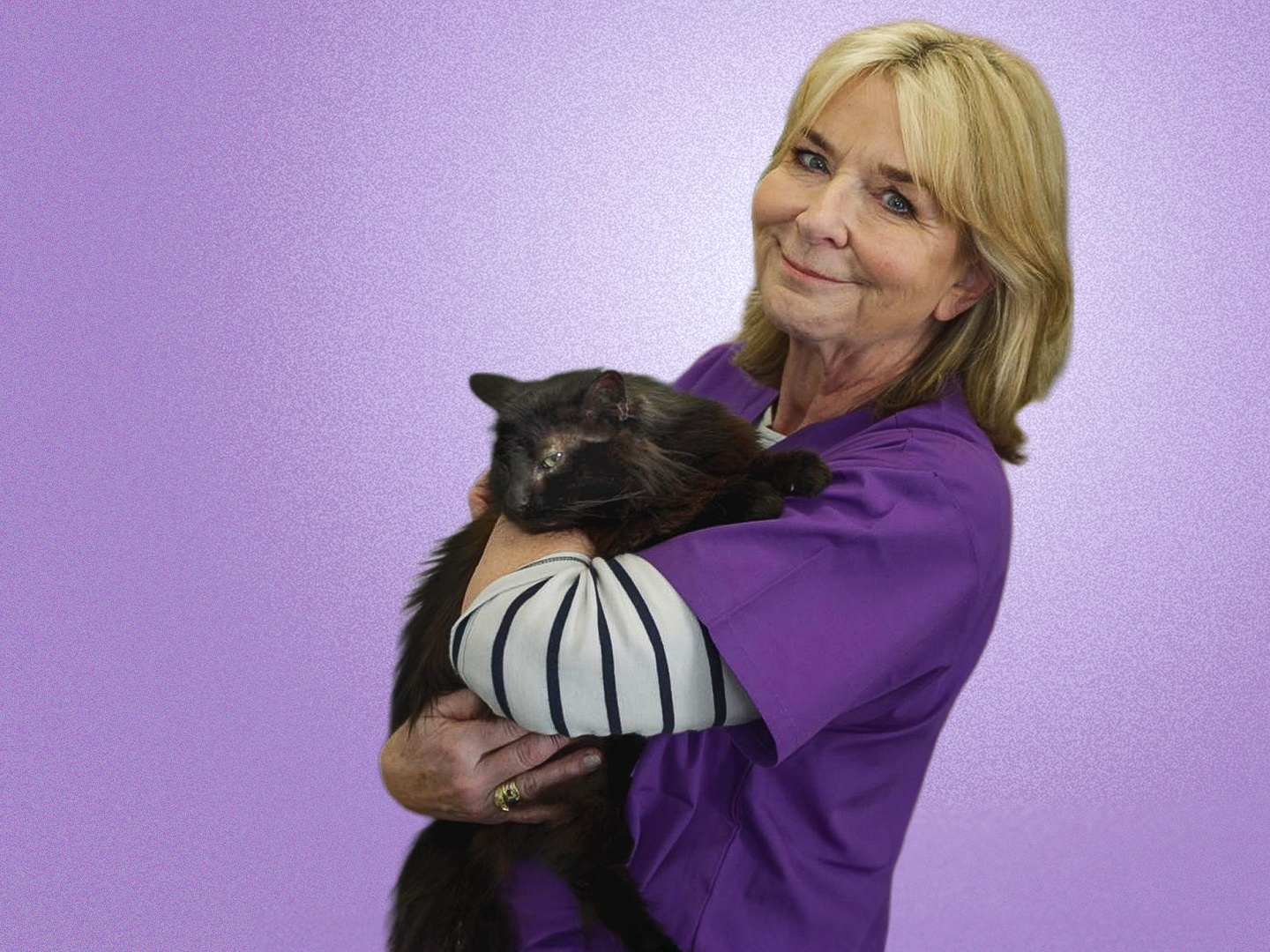 Fern Britton: Inside the Vet's on TV | Series 1 Episode 1 | Channels ...