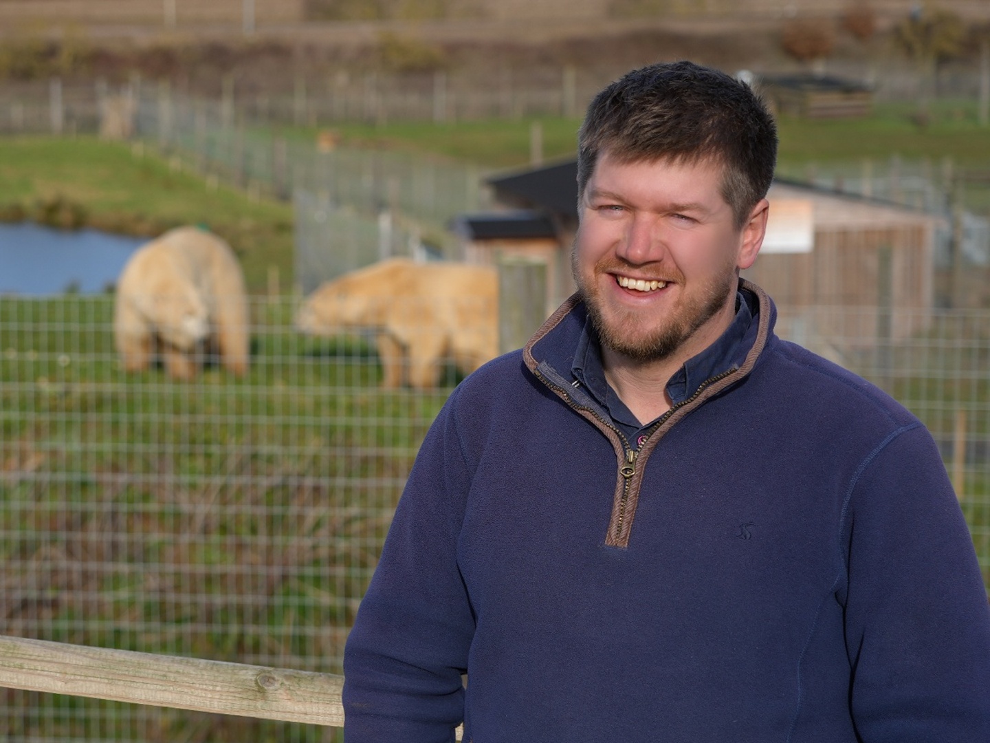 Jimmy Doherty's Big Bear Rescue on TV | Series 1 Episode 1 | Channels ...