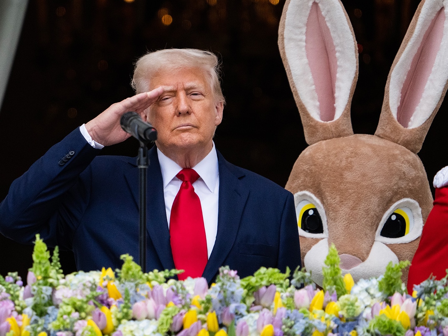 The Donald Trump Show on TV | Series 1 Episode 2 | Channels and ...