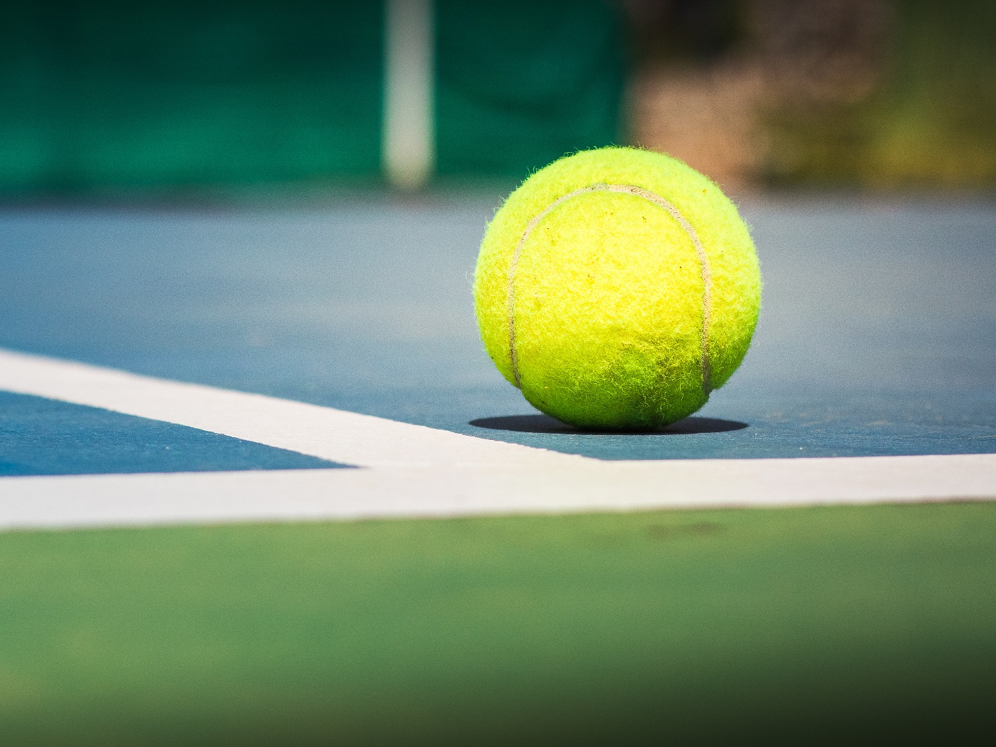 Final (Tennis: ATP European Open 2025) on TV | Channels and schedules ...