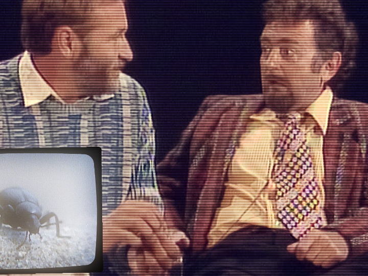 Der kan man bare se på TV | Säsong 1 Avsnitt 1 | Tider och kanaler ...