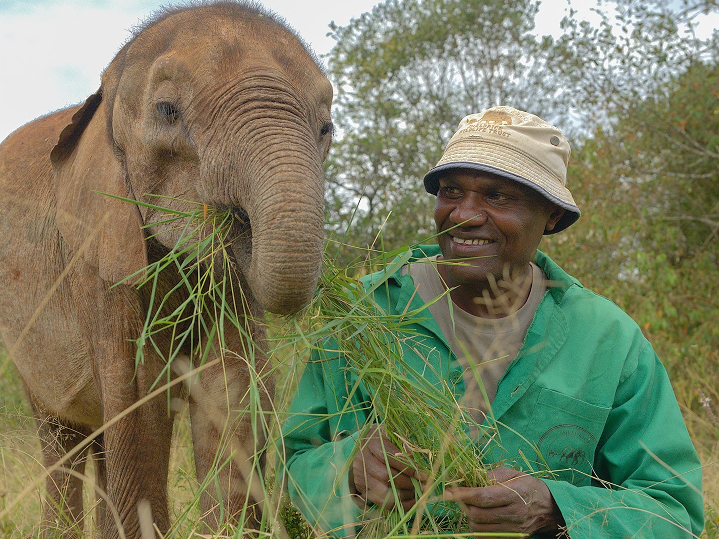Hamza Loves Animals: Africa on TV | Series 1 Episode 20 | Channels and ...