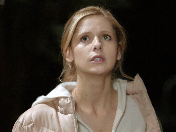 The Grudge (2004) on TV | Channels and schedules | TV24.co.uk