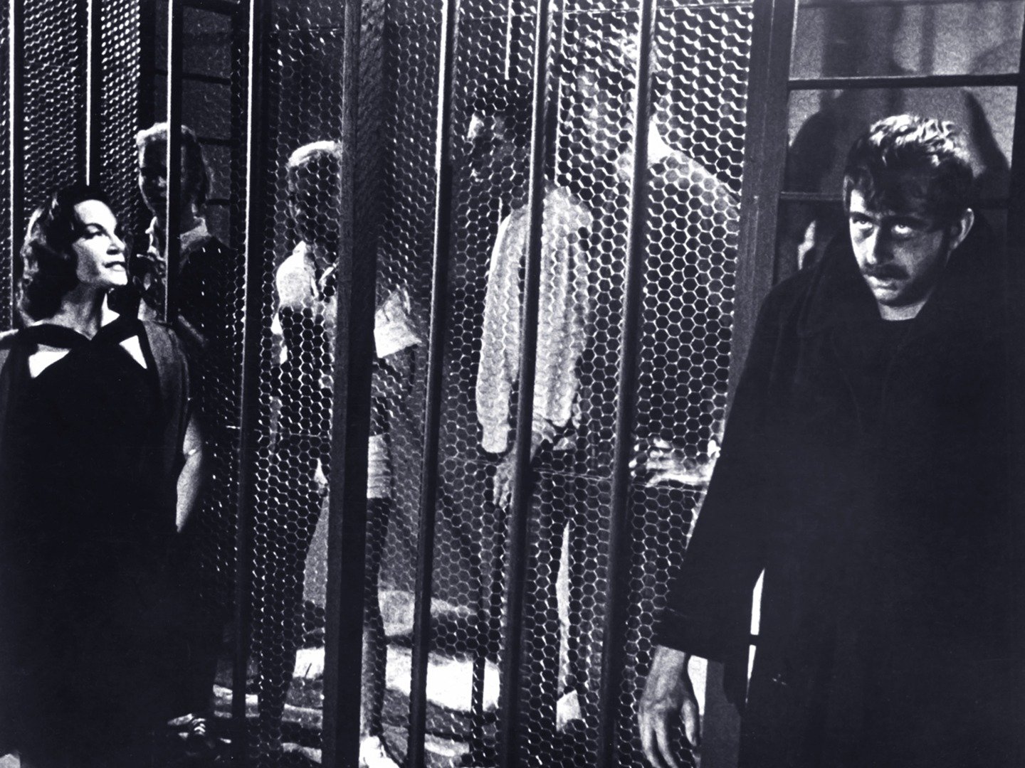 Teenage Zombies (1958) on TV | Channels and schedules | tv24.co.uk