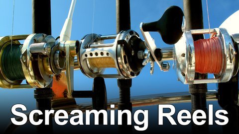 Screaming Reels