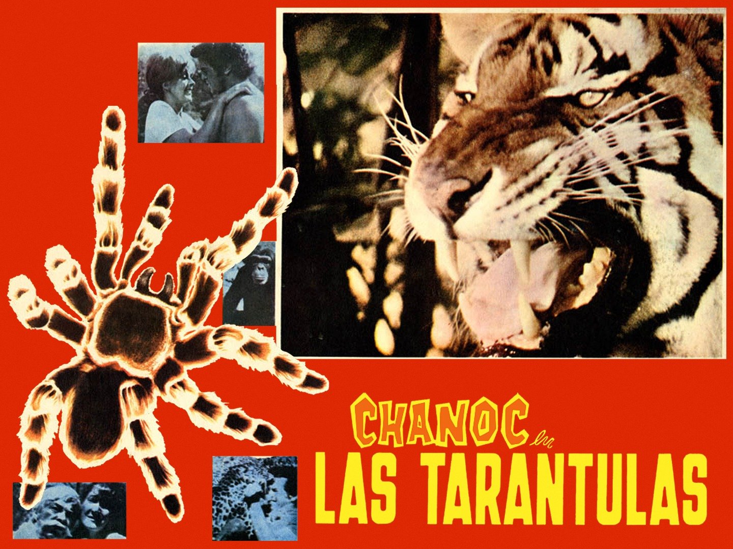 Chanoc Contra las Tarántulas (1973) on TV | Channels and schedules ...