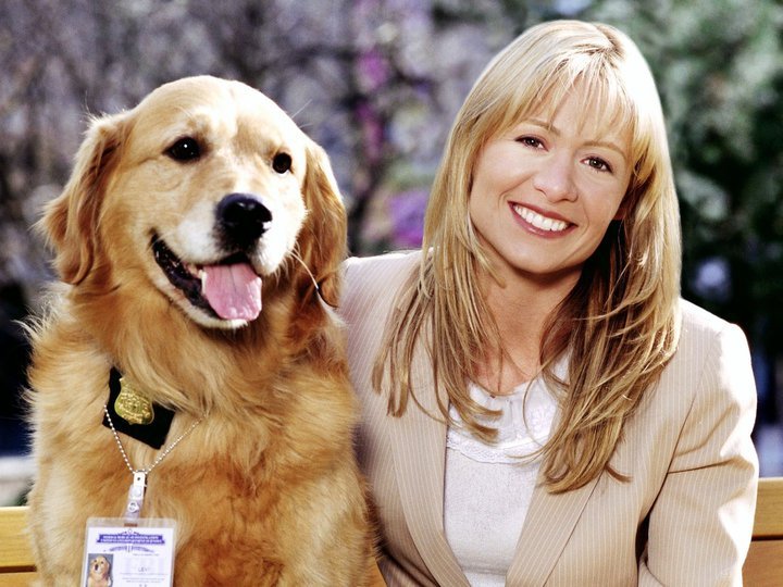 Sue Thomas F.B.Eye on TV | Series 1 Episode 19 | Channels and schedules ...