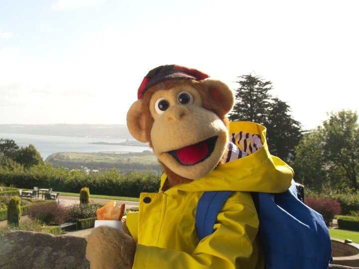 Milkshake Monkey on TV | Channels and schedules | TV24.co.uk
