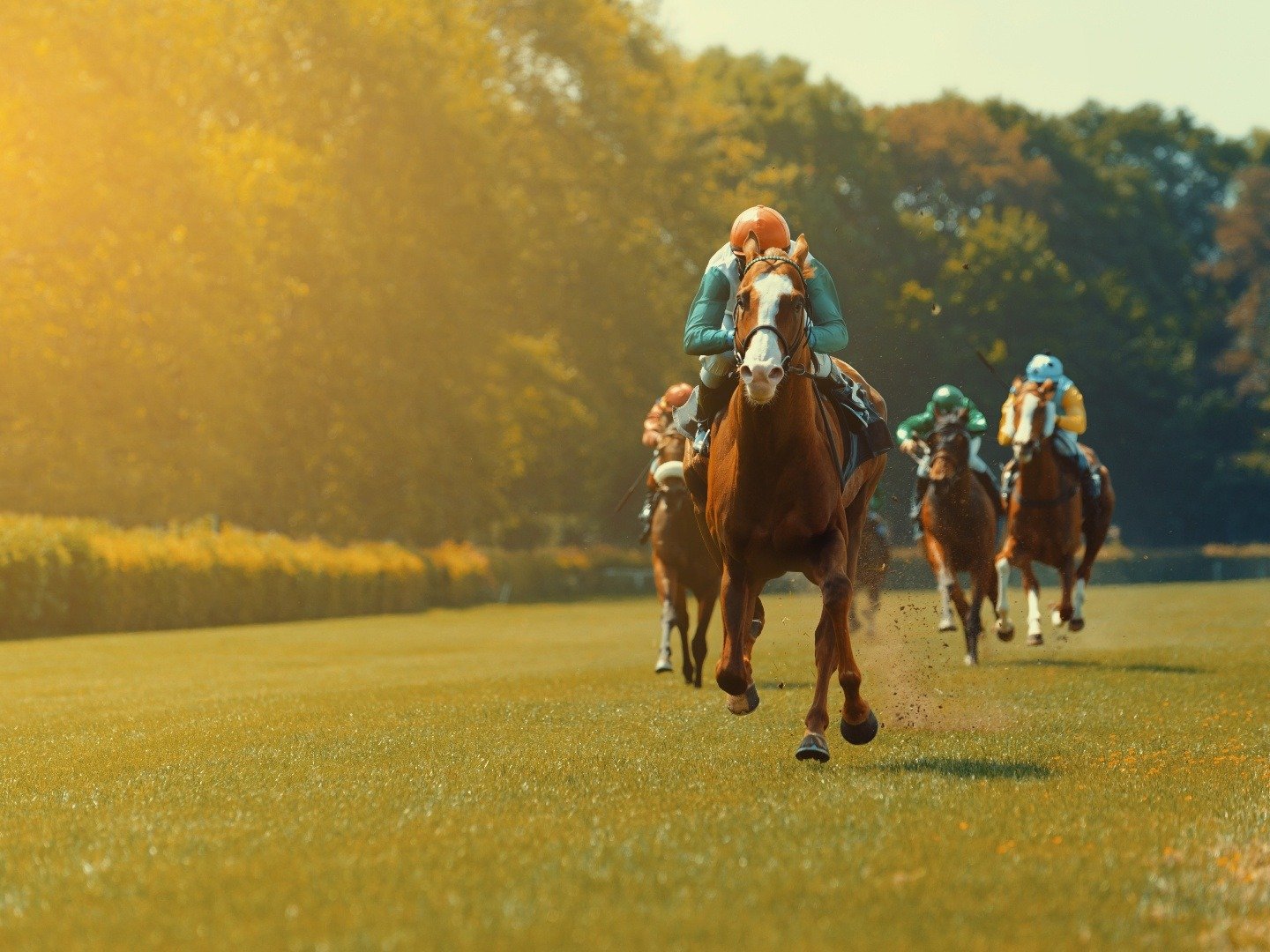 Racing Replay on TV | Channels and schedules | tv24.co.uk