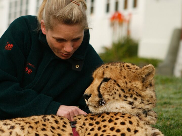 Wild Vets on TV | Channels and schedules | TV24.co.uk