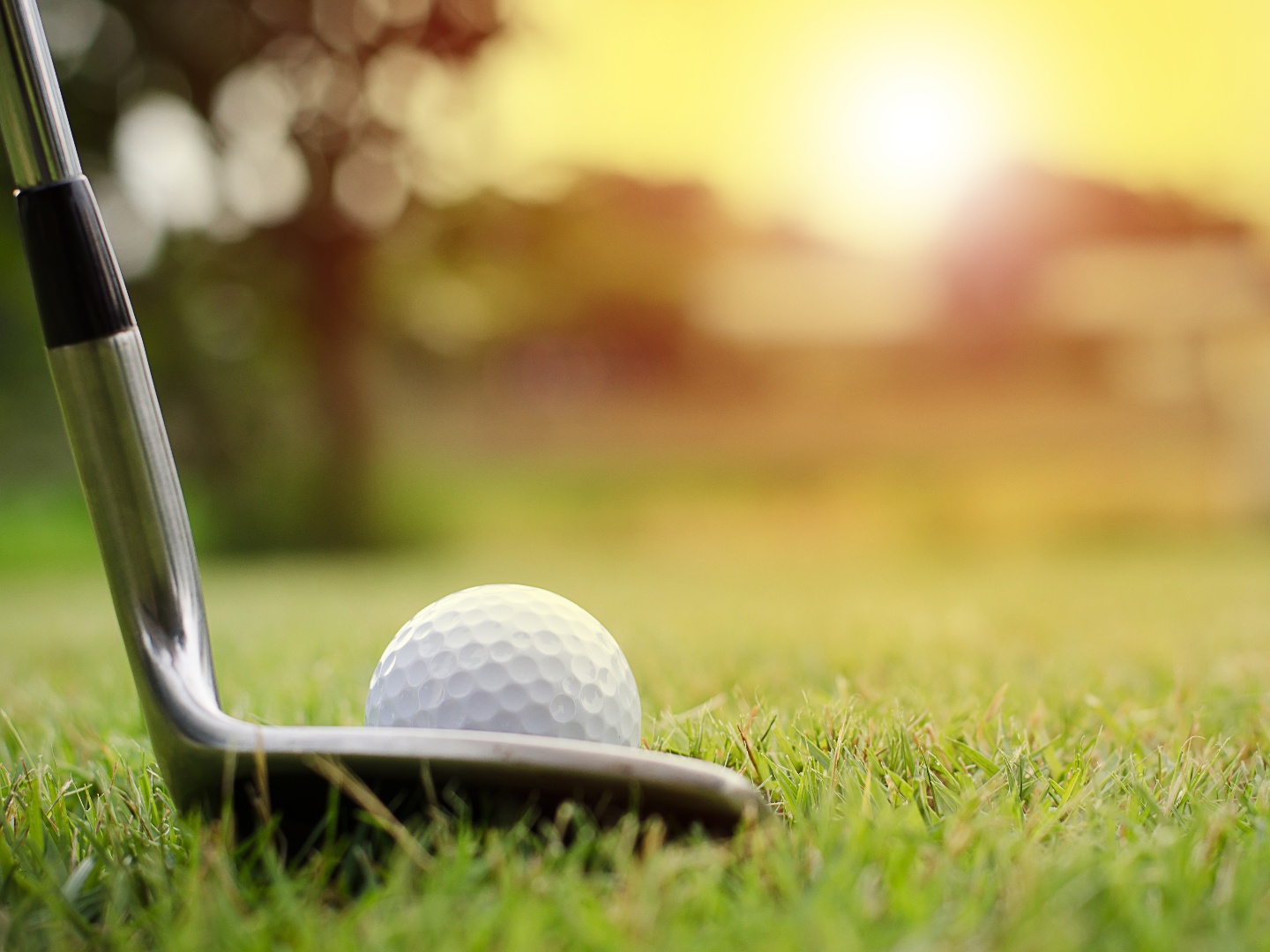 Highlights (Chubb Classic Champions Tour Golf) on TV | Channels and ...