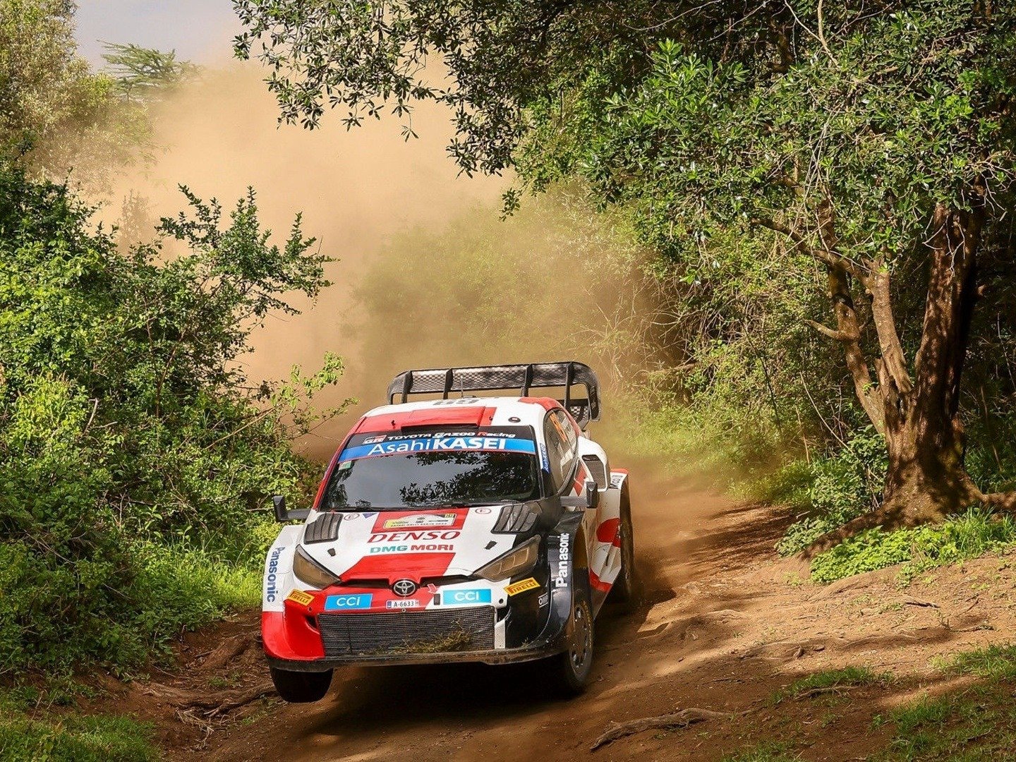 Central European Rally: SS10 and 11 ( FIA World Rally Championship) on ...