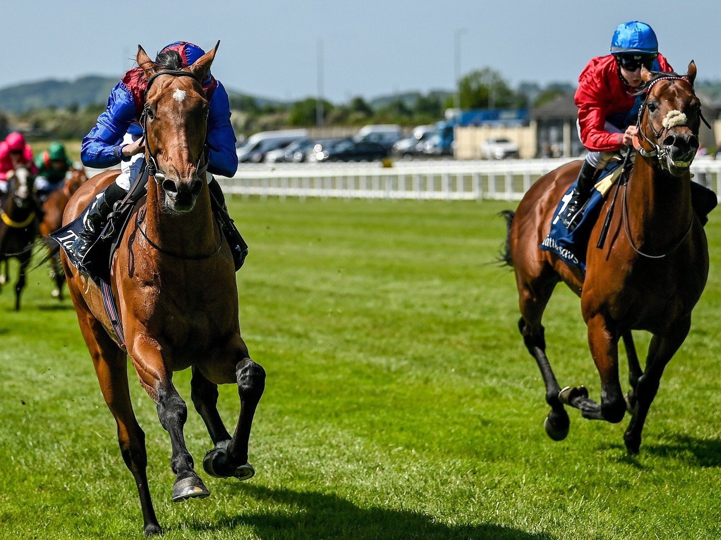 Racing on TV | Channels and schedules | tv24.co.uk