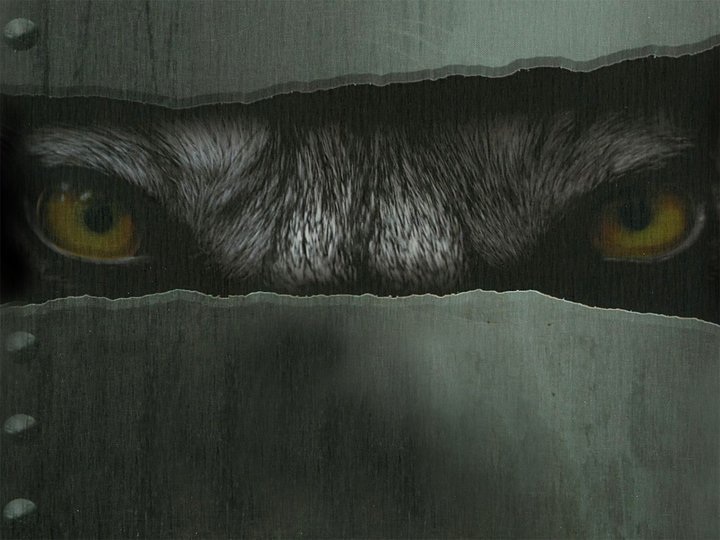 MonsterQuest on TV | Series 1 Episode 11 | Channels and schedules ...