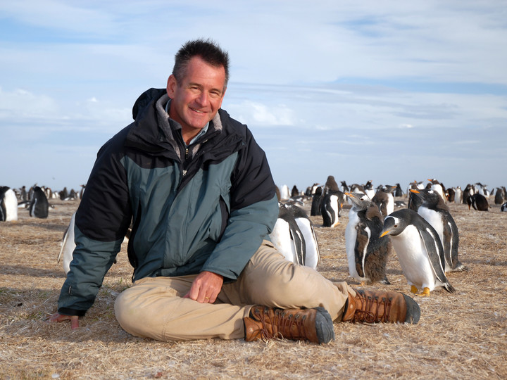 Killer Whale Islands With Nigel Marven on TV | Channels and schedules ...